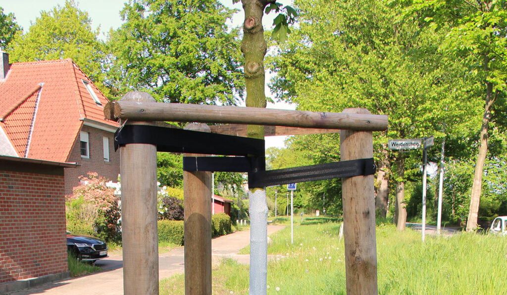 Bäume richtig anbinden und verankern – Meyer Blog